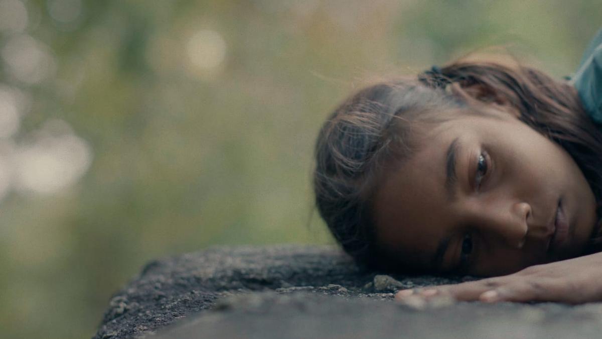 Humans In The Loop Movie Review (Themes Explained) - A Profound ...